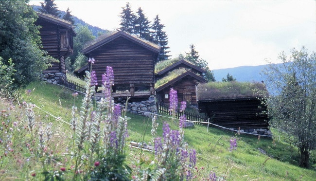 עמק האלינגדאל - Hallingdal - נורבגיה 2025